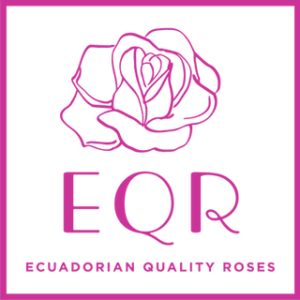 Ingelec – Ingenieria Eléctrica